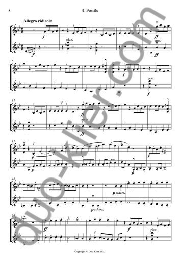 The Carnival of the Animals Suite by Saint-Saëns | Duo Klier