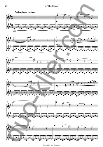 The Carnival of the Animals Suite by Saint-Saëns | Duo Klier